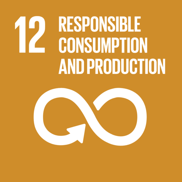 SDG 12: Responsible Consumption and Production - Goumbook