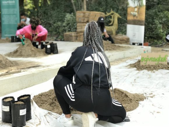 Adidas Group Planted 300 Ghaf Seeds For Their Team Building Actvity