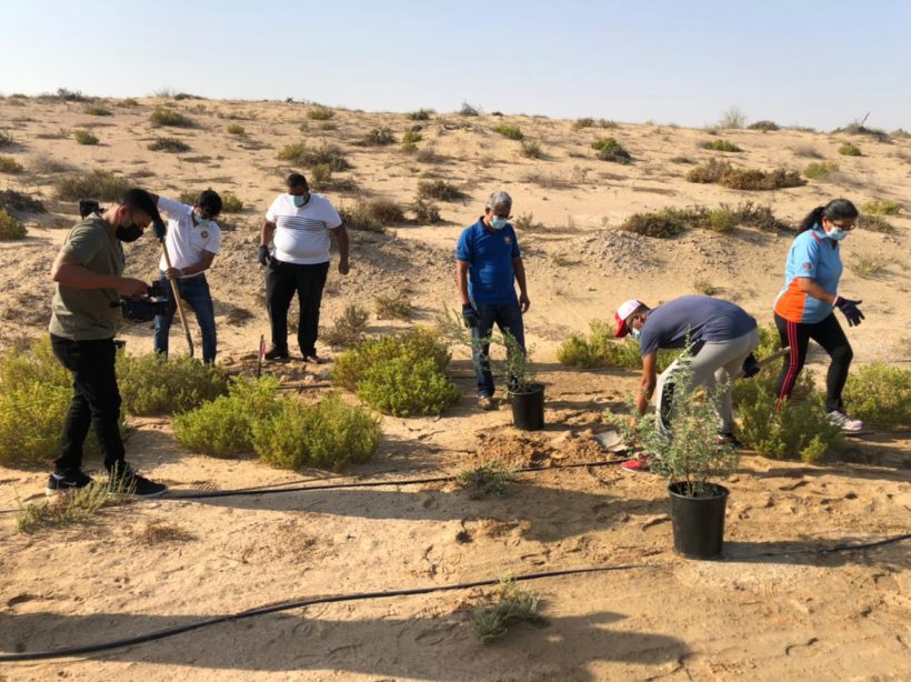 Euromonitor International Team Planted 20 Ghaf Trees