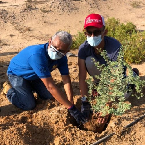 Give A Ghaf Tree Planting: Community Program | Goumbook