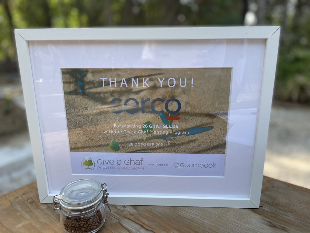 Serco sponsored 26 Ghaf Seeds on World Environment Day
